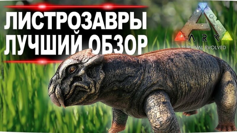 Листрозавр (Lystrosaurus) в АРК Лучший обзор приручение, разведение и ...