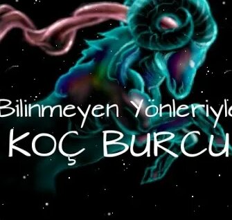 koç resimleri: 2 bin video Yandex'te bulundu