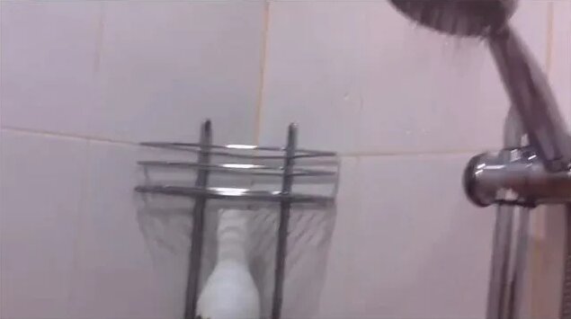 Выбор и установка проточного водонагревателя Electrolux NPX6 Aquatronic ...