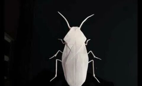 Origami Cockroach Robert J. Lang - Смотреть онлайн в поиске Яндекса по ...
