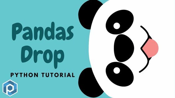 Pandas Drop Row By Index 1 