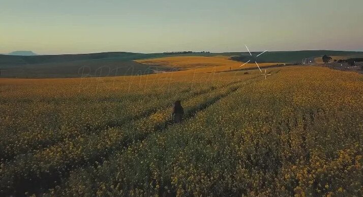 Master KG & Brenda Fassie - Vuli Ndlela 2025 (Amapiano Remix ...