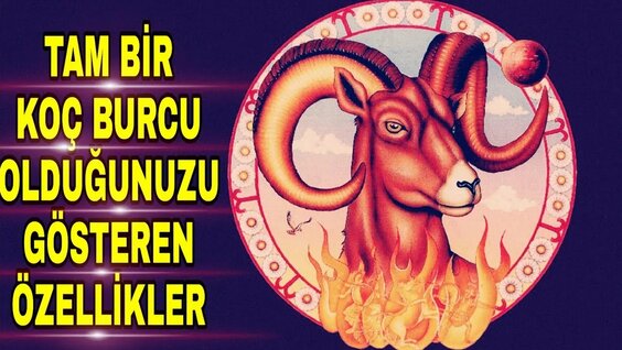 koç resimleri: 2 bin video Yandex'te bulundu