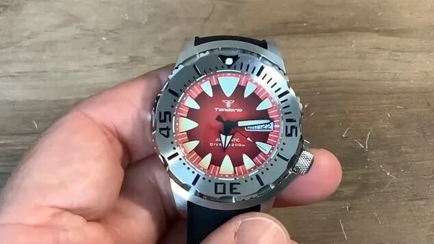 Tandorio Monster / Homage to the Seiko Monster / Tandorio Watches ...