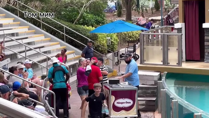 Том мим — Видео от Tom mim Шоу - Смотреть онлайн в поиске Яндекса по Видео