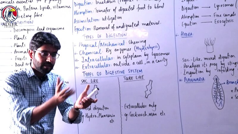 Method OF Obtaining Nutrients | Intermediate Zoology | Maroof Rizvi ...