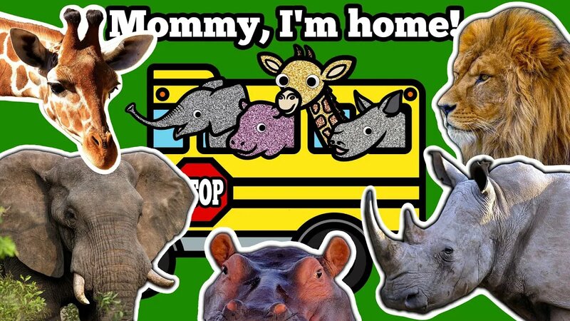 Safari Animals Come Home on School Bus to Mommy & Daddy! Learn Animal ...