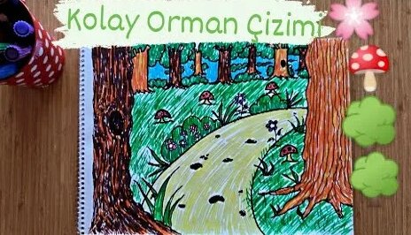 orman resimleri çizimi: 989 video Yandex'te bulundu
