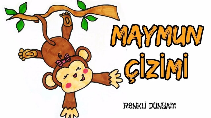 Maymun nasıl çizilir? Maymun Çizimi ( How to draw a monkey)-Renkli ...