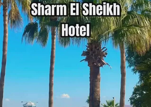 Обзор 5* отеля в Шарм-эль-Шейхе Dreams Beach Resort 5* — смотреть ...