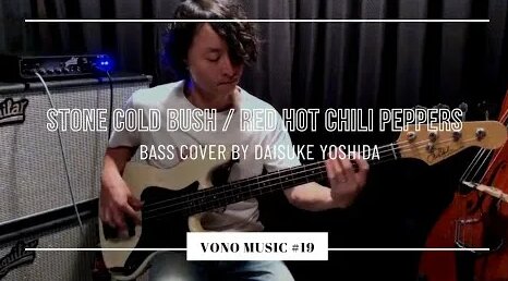 Stone Cold Bush / Red Hot Chili Peppers bass cover [ vono music #19 ...