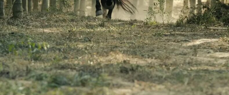 Слепой меч - Blind Sword, 2022 — Видео от Best From Cinema - Смотреть ...