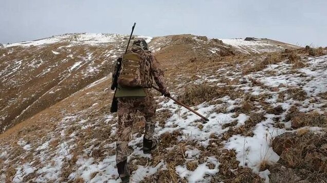 Трофейная горная охота на Гималайского Улара, Алматинская область 2022 ...