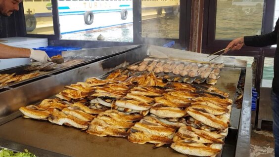 balık ekmek: 870 video Yandex'te bulundu