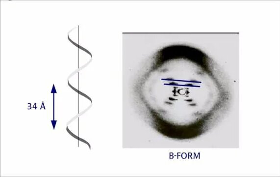 Rosalind Franklin's X-ray Diffraction Pattern of DNA (explained ) | DNA ...
