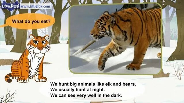 Meet the Animals 13 | Siberian Tiger | Wild Animals | Little Fox ...
