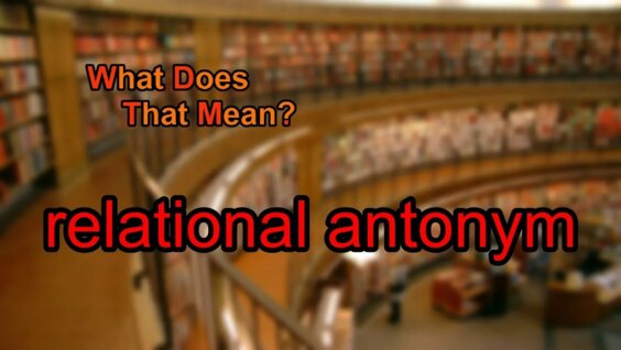 relational antonyms examples: 736 video Yandex'te bulundu