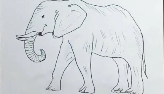 fil resimleri çizimi: 1 bin video Yandex'te bulundu