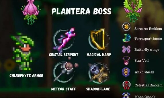 What is THE BEST Setup for MAGE Terraria | Terraria V 1.4.4 | 10 Min ...