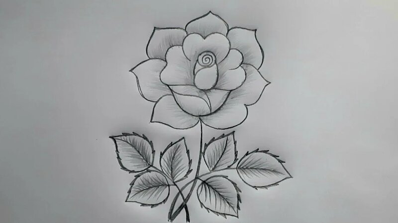 Rose Drawing | How To Draw A Rose | Flower Design Drawing | Flower Art