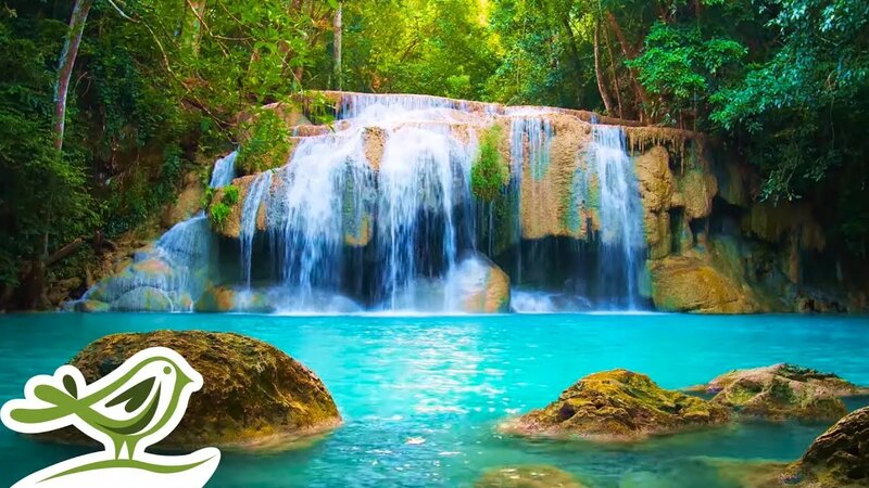 Beautiful Piano Radio Relaxing Music for Sleep, Studying & Relaxation ...