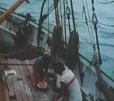 Western lights - part 5 - Смотреть онлайн в поиске Яндекса по Видео