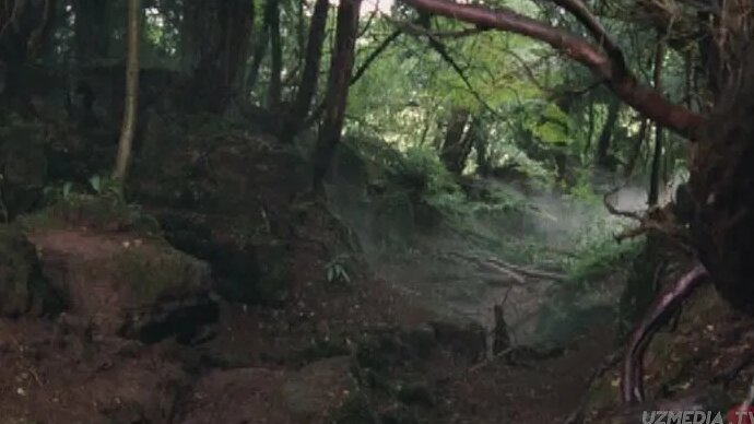 Видео Afsungar Merlin 3-fasl 13-qism HD (uzmedia.tv) | OK.RU - Смотреть ...