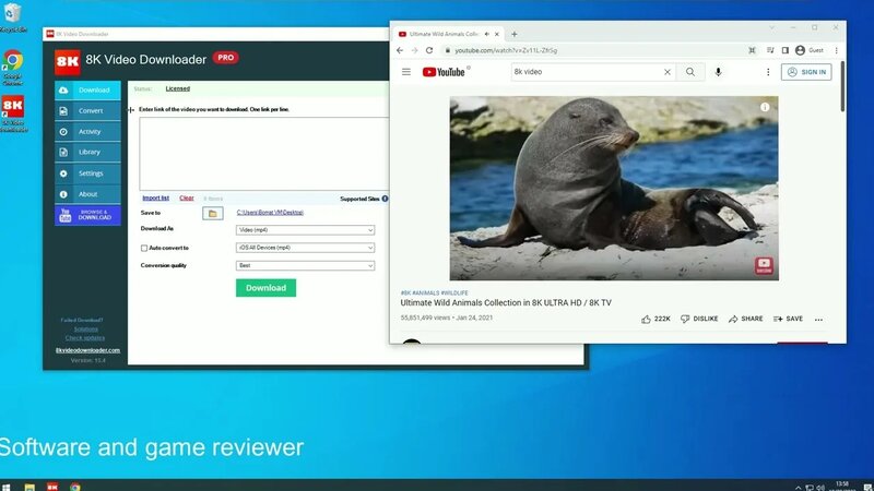 8K Video Downloader Pro Review - Смотреть онлайн в поиске Яндекса по Видео