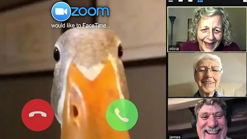 trolling zoom classes... but its WHOLESOME - Yandex Video aramada ...