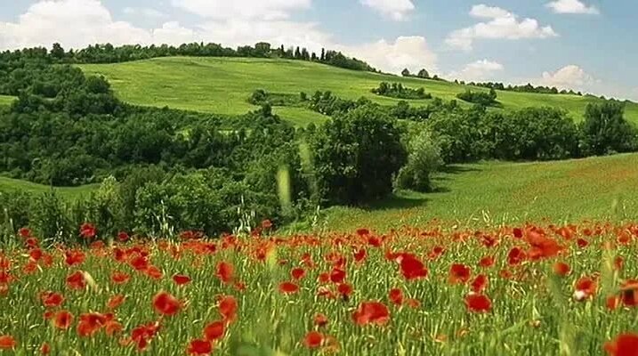 Видео Самая красивая музыка на свете - Эннио Морриконе Плач ветра ...