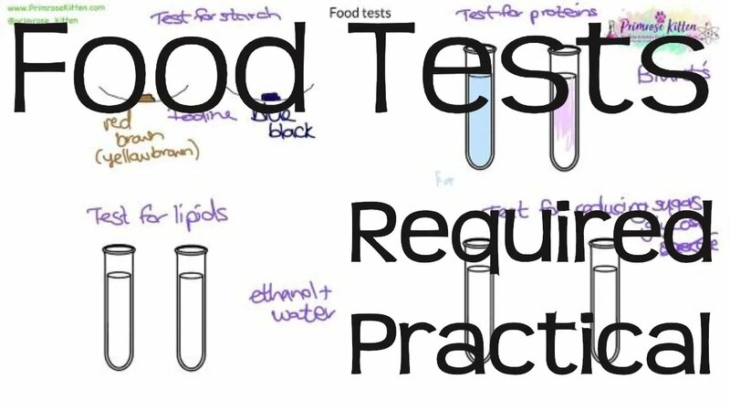 Food Tests | Required Practical Biology GCSE or iGCSE - Yandex Video ...