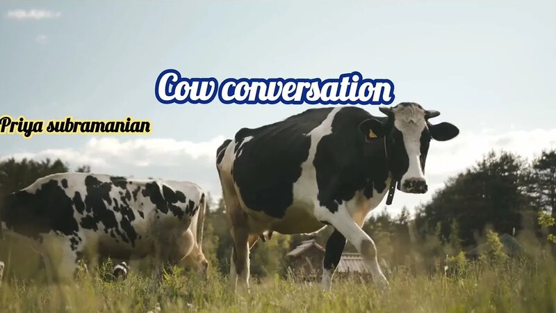 10 Lines Essay On The Cow In English / Cow conversation LKG/ Essay ...