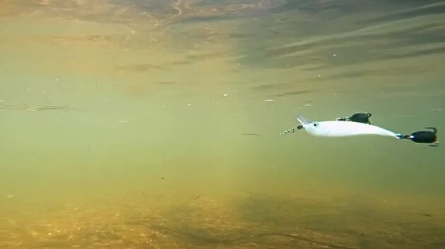 Zomber Religa Kite - твитчинг на месте - Смотреть онлайн в поиске ...