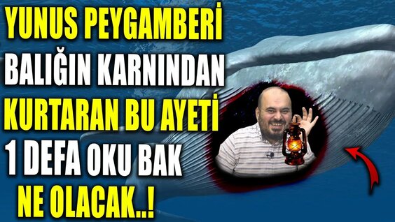 yunus balığı peygamber: 795 video Yandex'te bulundu