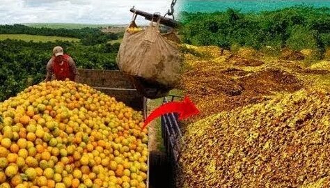 portakal boyama: 937 video Yandex'te bulundu