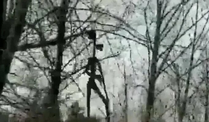 Видео ТОП 7 Сиреноголовый Снятый НА Камеру! Siren HEAD! SCP Монстры | OK.RU - Смотреть онлайн в ...