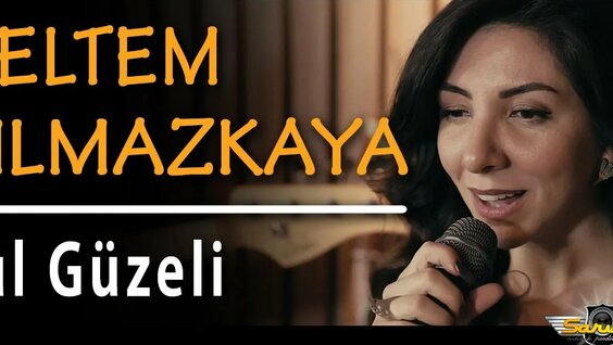 Meltem: 1 bin video Yandex'te bulundu