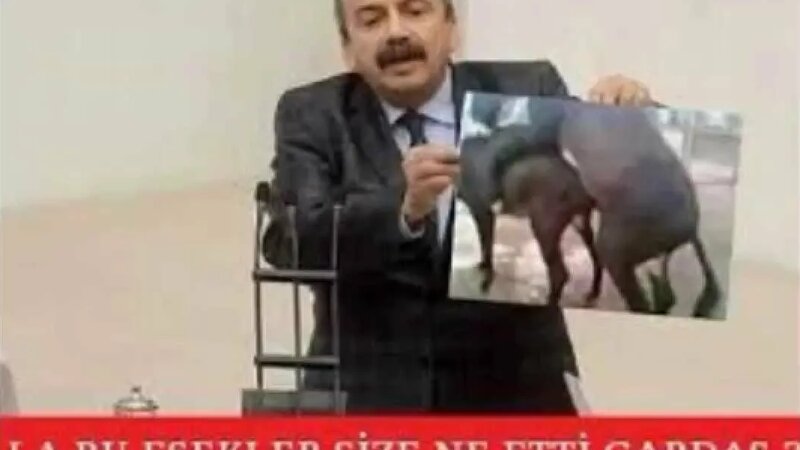 Balıkesirin çılgın eşekleri kaldırılınca - Yandex Video aramada ...