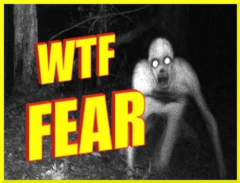 Wtf #6 - fear (18+) - Смотреть онлайн в поиске Яндекса по Видео