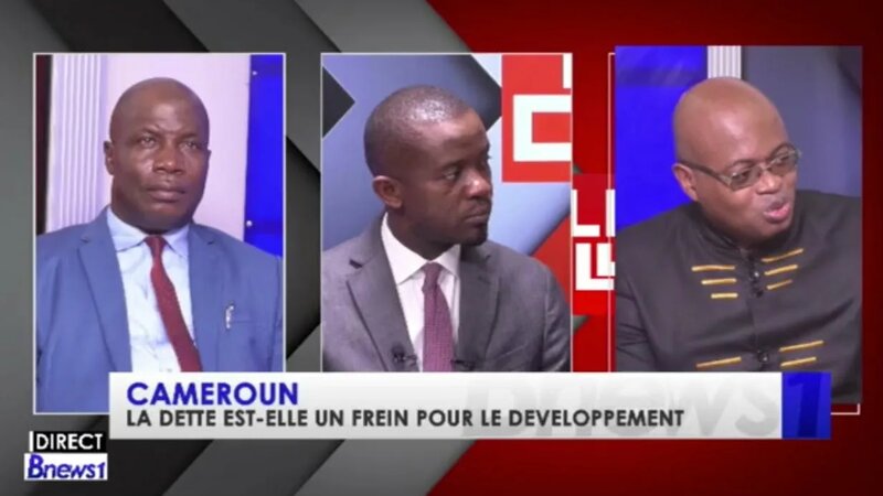La Dette du Cameroun est-elle un Frein pour le Developpement? La Dette ...