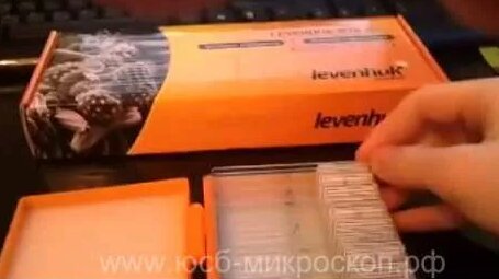 Обзор набора готовых микропрепаратов Levenhuk N38 NG - Смотреть онлайн ...
