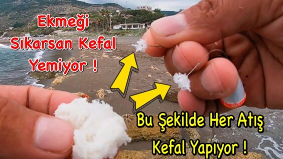 kefal: 964 video Yandex'te bulundu