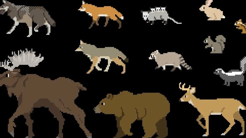 Forest Animals - Book Version - The Kids' Picture Show (Fun ...