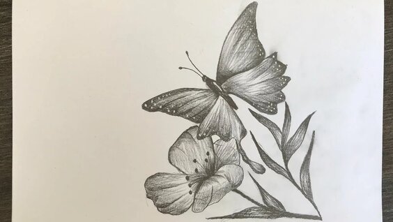 kelebek çizimi karakalem: 1 bin video Yandex'te bulundu