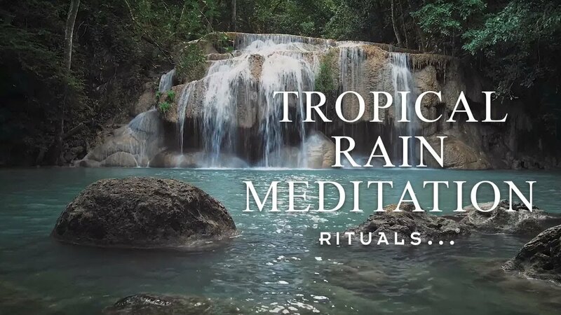 Relaxing tropical rain meditation - Meditation with Rituals - Yandex ...