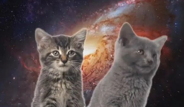 Песня мяу, мяу часовая версия Space Cats 1 hour version - Смотреть ...