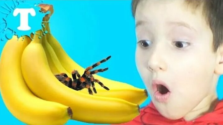 Видео BAD BABY Spiders in Banana! Giant Spider Attack / Scary funny ...