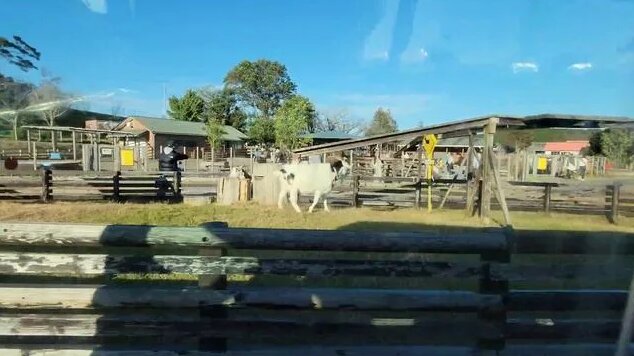 Fuchsia City & Seafoam Islands / Tateyama, Boso | Real Life Pokemon ...