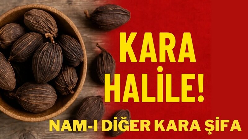 Kara halile faydaları nelerdir | kara halile nedir ve ne işe yarar ...