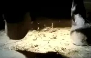 25D0 25A0 25D0 25B8 25D0 25BD 25D0 25B0 25D1 2582 2520 25D0 25A1 25D0 ...